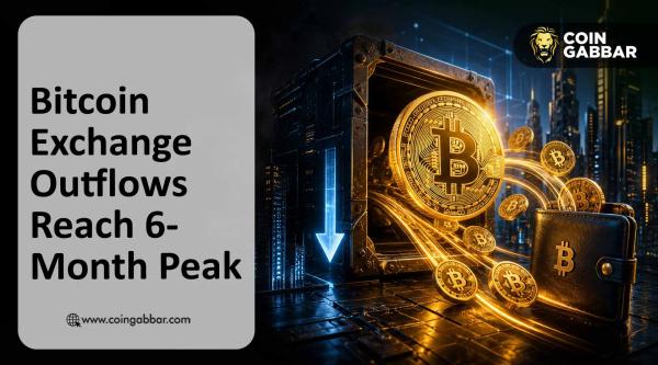 Bitcoin Exchange Outflow Hits 6-Month High: What Next?