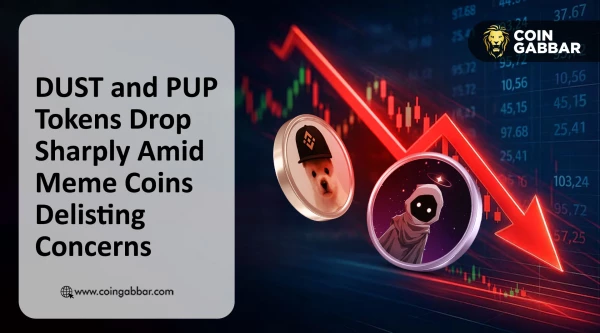 DUST Drops 31% as Meme Coins Delisting News Spreads