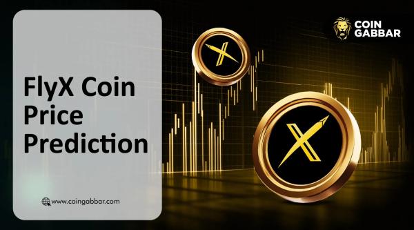 FlyX Coin Price Prediction Is FLYX the Next 10x Token