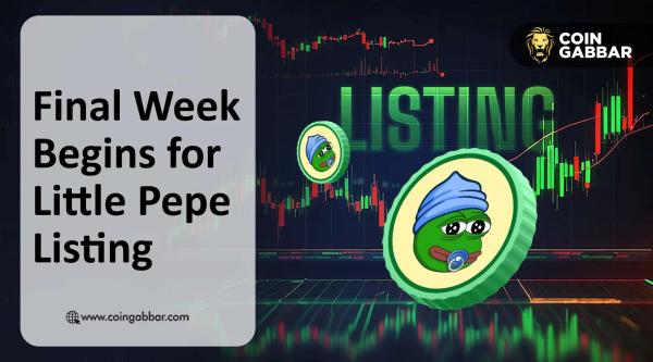 Little Pepe Launch Date and Presale End Date Out: Check