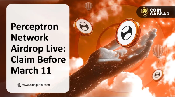Perceptron Network Airdrop Goes Live: PERC Listing Near