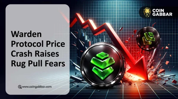 Warden Protocol Price Crash Sparks Rug Pull Fears