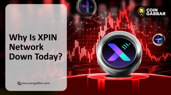 XPIN Network News: Why Is XPIN Price Down Today Reasons